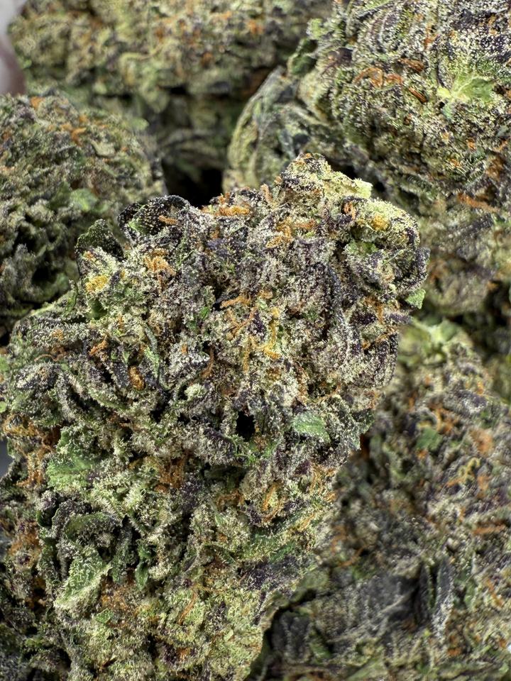 All THCA – AUGUST CLUB